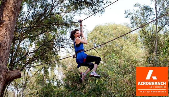 Acrobranch Activity Cape Town Stellenbosch Western Cape | Bargain Buys