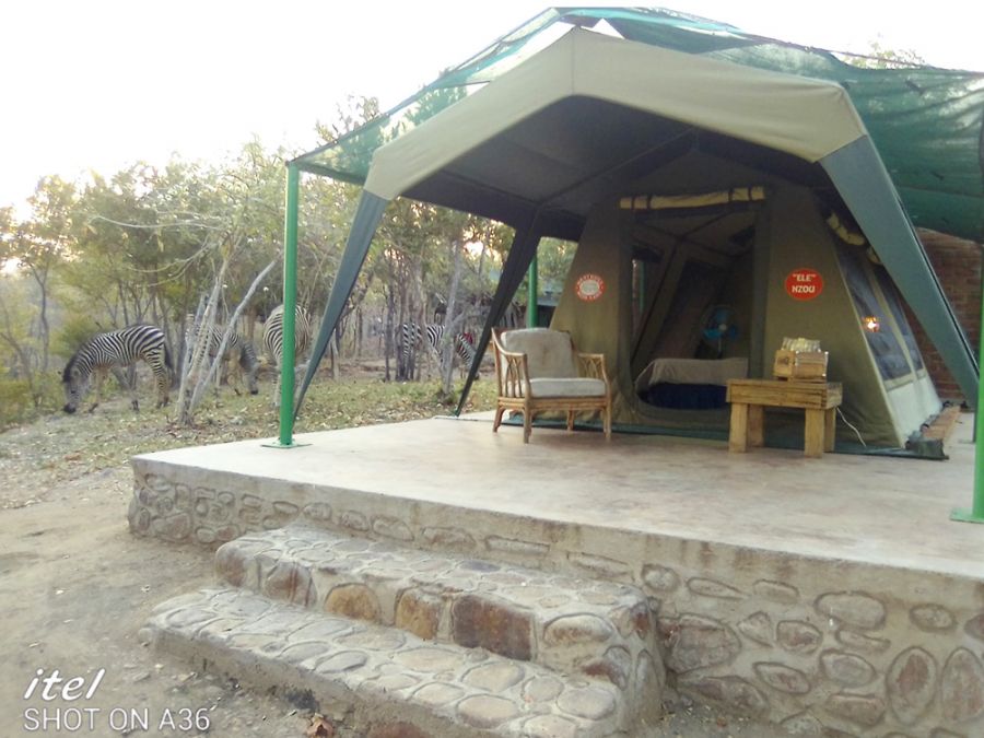 Warthogs Safari Camp Accommodation in Kariba Zimbabwe | Bargain Buys